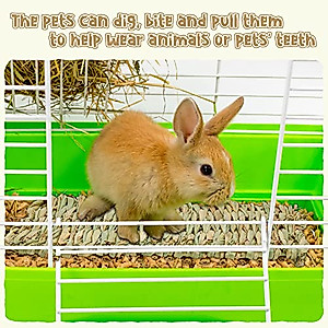 Riakrum 40 Pcs Grass mats for Rabbits Bunny Grass Mat Woven Straw Mat Bed Rabbit Sleeping Mat Natural Chew Toy Bed for Parrot Chinchilla Squirrel Hamster Cat Dog Small Animal