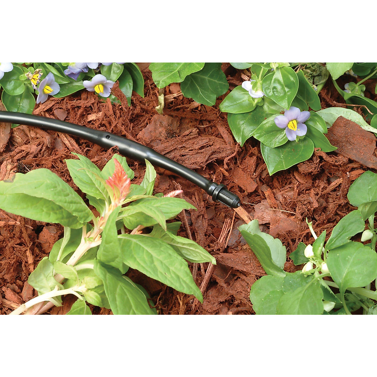 Rain Bird TP25/10PS Drip Irrigation 1/4" Tubing End Closure, 1/2" Tubing "Goof” Plug, 10-Pack