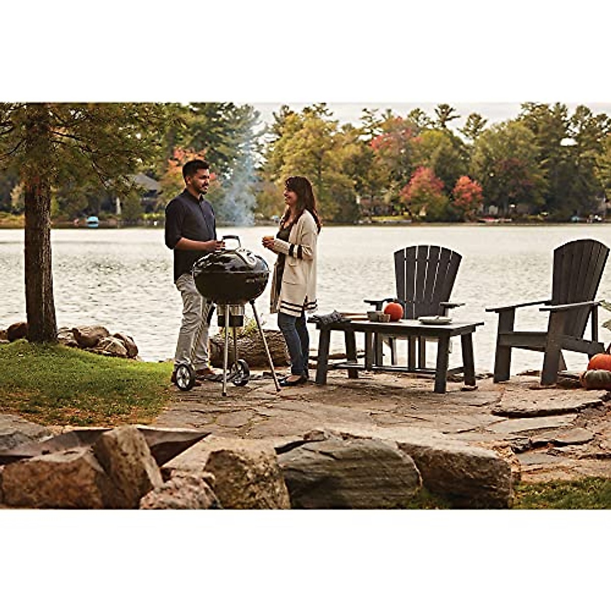 Napoleon NK22K-LEG-2 Built in Grills, Black