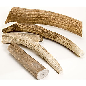 EcoKind Pet Treats Premium Elk Antlers for Dogs – Natural Antler Dog Treats – Healthy & Long-Lasting Dog Antler Tips – Odorless & Delicious – No Chemicals – 4 Pack