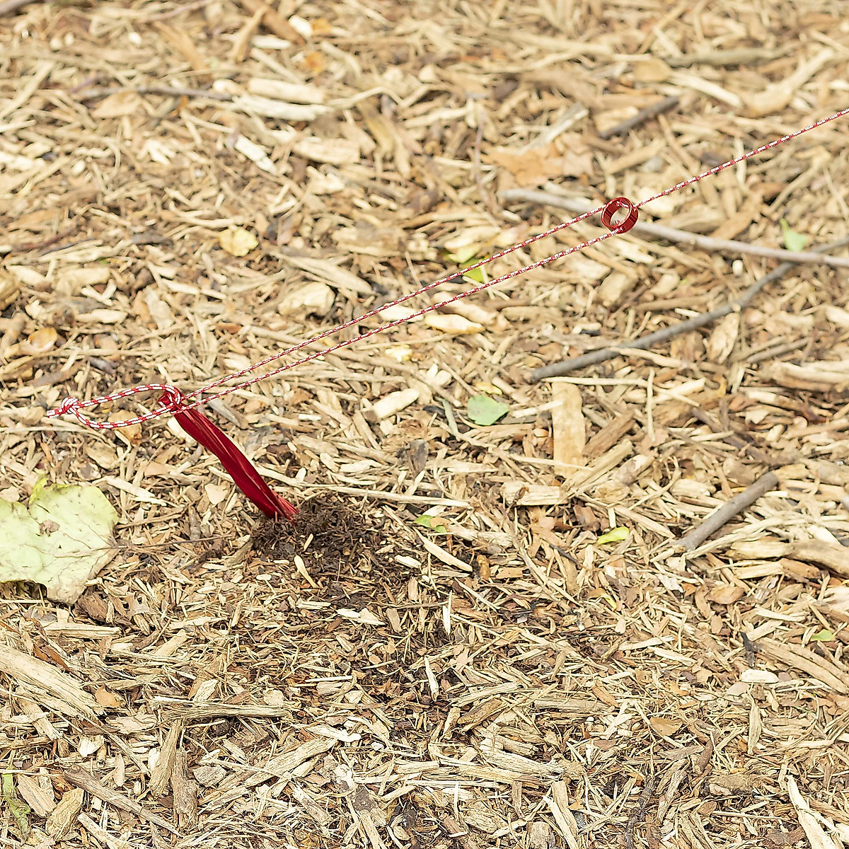 MSR Tent Guyline Kit, 8-Foot