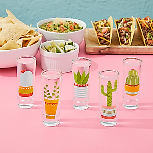 BLUE PANDA 5 Pack Shot Glasses Set with Cactus Designs for Bachelorette, Fiesta Supplies, Western-Themed Party, Round, Decorative Shot Glasses with Heavy Base for Tequila, Whiskey, Vodka (2 oz)