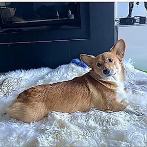 Woolous Sheepskin Rug, New Zealand Large Genuine Natural Lamb Skins Fur Real Sheep Skin Throw Rug for Bedroom and Living Room, (Single Pelt 2x3ft,Ivory)