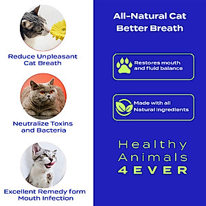 HealthyAnimals4Ever Bad Breath for Cats Pellets - Dissolvable - No Brushing - for Clean Teeth, Plaque & Tartar Control - All-Natural, Non-GMO, Organic - Preservative & Chemical Free - 300 ct