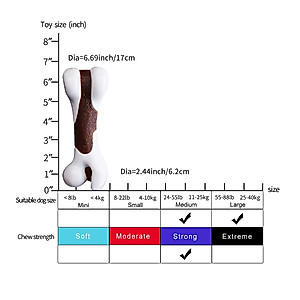 ONTWOPETS 2in 1 Dog Chew Toys for Aggressive Chewers - Nylon Dog Chew Toy with Edible Treat Layer (Bone_New, Large)