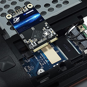 Dogfish mSATA SSD 256GB 3D NAND TLC SATA III 6 Gb/s, mSATA (30x50.9mm) Internal Solid State Drive - Compatible with Desktop PC Laptop - (MSATA 256GB)