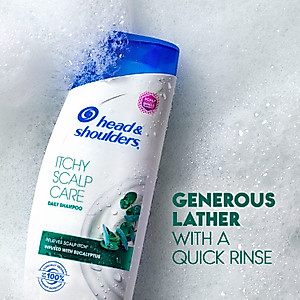 Head and Shoulders Itchy Scalp Care Daily-Use Anti-Dandruff Paraben Free Shampoo, 13.5 fl oz