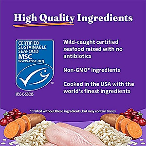 Halo Holistic Cat Food Dry, Wild-caught Whitefish Recipe for Sensitive Stomach Support, Complete Digestive Health, Dry Cat Food Bag, Sensitive Stomach Formula, 3-lb Bag