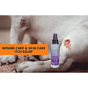 Gentian Violet Spray Solution 1% 100 ML. Pet Wound Care Skin Soother Healing Dog & Cats Skin Infections, Soreness and Irritation Relief, Relieves Dry Itchy Skin Allergies Clean Soothe & Heal