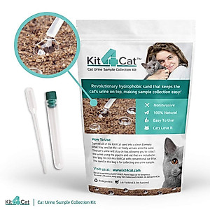 Kit4Cat Litter & Test UTI Bundle - Kit4Cat Hydrophobic Litter with CheckUp 3 Parameters UTI Testing Strips x 50