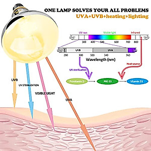 Ordekcity 100W Reptile Heat Lamp UVB UVA Mercury Vapor Bulb UVB Reptile Light Basking Lamp for Bearded Dragon Turtle Amphibian