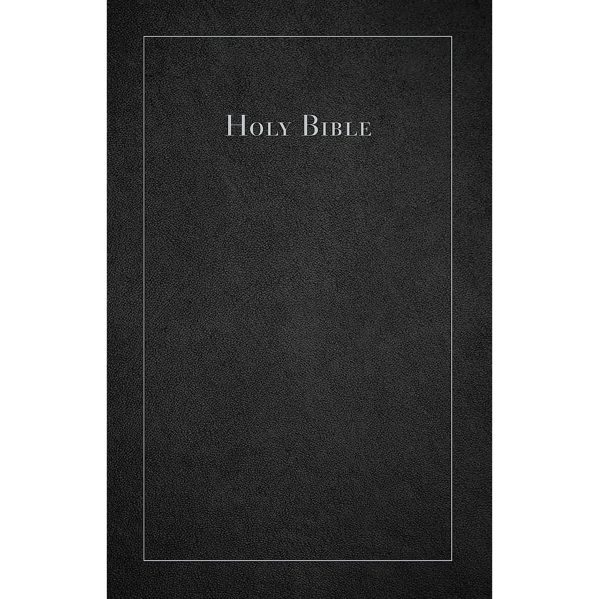 CEB Common English Bible Large Print Thinline