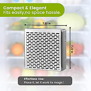 Refrigerator Deodorizer,10 Years Long Fridge Odor Eliminator,Car Air Freshener,Closet Odor Absorber,Outperforms Baking Soda and Bamboo Air Purifying Bags，Stainless Steel