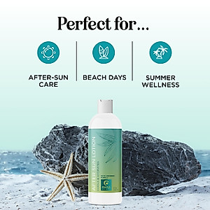 After Sun Lotion with Aloe Vera - Ultra Cooling Aloe Vera for Sunburn Hydration with Cocoa Butter & Rosehip Oil - Hydrating Aloe Lotion After Sun Moisturizer for Dry Skin with Hyaluronic Acid