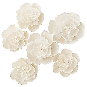 MEJOY Crepe Paper Flowers Decoration for Wall, Artificial Flowers for Wedding Decor,Flower Backdrop Decor,Baby Shower,Birthday Party,Photo Backdrop,Archway Decor, Nursery Wall Decor(White,Set/6)
