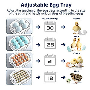 Egg Incubator, 16 Incubators for Hatching Eggs with Automatic Egg Turning, Egg Candler and Automatic Water Adding for Hatching Chickens, Ducks, Goose, Quails & 4 Wooden Eggs