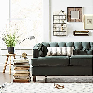 Amazon Brand – Stone & Beam Modern Vintage Adjustable Task Lamp, 17"H, Brushed Steel