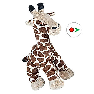 Beary Fun Friends Recordable 8" Plush Gerry The Giraffe w/20 Second Digital Recorder for Special Messages, Rymes or Songs