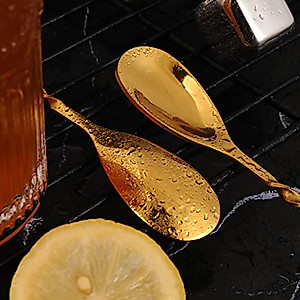 AnSaw 12-Inch Stainless Steel Mixing Spoon, 2-Pieces Gold Spiral Pattern Bar Spoons