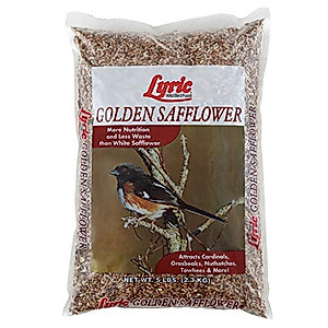 Lyric 2647444 5 lb. Golden Safflower Seed, 5 Pound (Pack of 1)