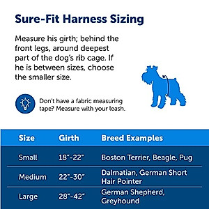 PetSafe Sure-Fit Dog Harness - Training & Behavior Aid - Tactical Design Prevents Pressure on Throat - 2 Quick-Snap Buckles Simplify Slipping On & Off - 5 Adjustment Points - Small, Black