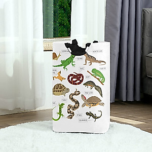 Green and Brown Pet Reptiles Frog Iguana Lizard Snake Newt Turtle Laundry Hamper Basket Bucket, Foldable Dirty Clothes Bag, Waterproof Fabric Washing Bin, Toy Storage with Handles for Bathroom