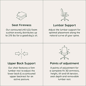 Branch Ergonomic Chair - A Versatile Desk Chair with Adjustable Lumbar Support, Breathable Mesh Backrest, and Smooth Wheels - Experience Optimal Comfort and Support - All Black