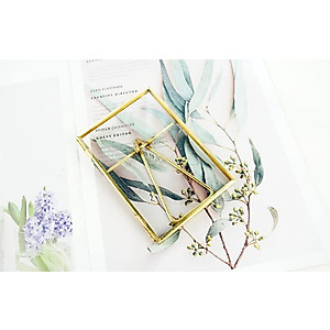 WONTHAI Gold Picture Frame - 4x6 Antique Brass Postcard Picture Frame for Desk - Small Pressed Glass Frame for Pressed Flowers - Floating Vertical (4 * 6 vertical)…