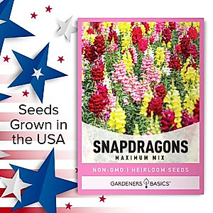 Snapdragon Seeds for Planting (Maximum Mix Snap Dragon) Annual Flower Heirloom, Non-GMO Variety- 400mg Seeds Great for Summer Seeds for Gardening Flowers Gardens by Gardeners Basics