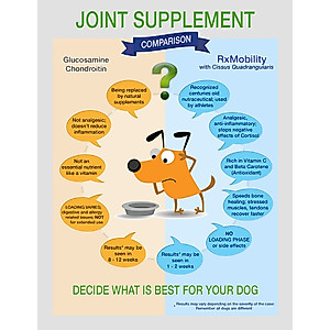 RxMobility Botanical Hip & Joint Supplement with Cissus Quadrangularis - All Natural Formula for Fast Working Pain Relief & Maximum Mobility - for Dogs
