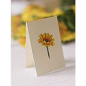Freshcut Paper Pop Up Cards, Paper Flower Bouquet 3D Popup Greeting Cards with Note Card & Envelope, Birthday Card, Anniversary Card, Get Well Gifts for Women, 12" Sunflowers