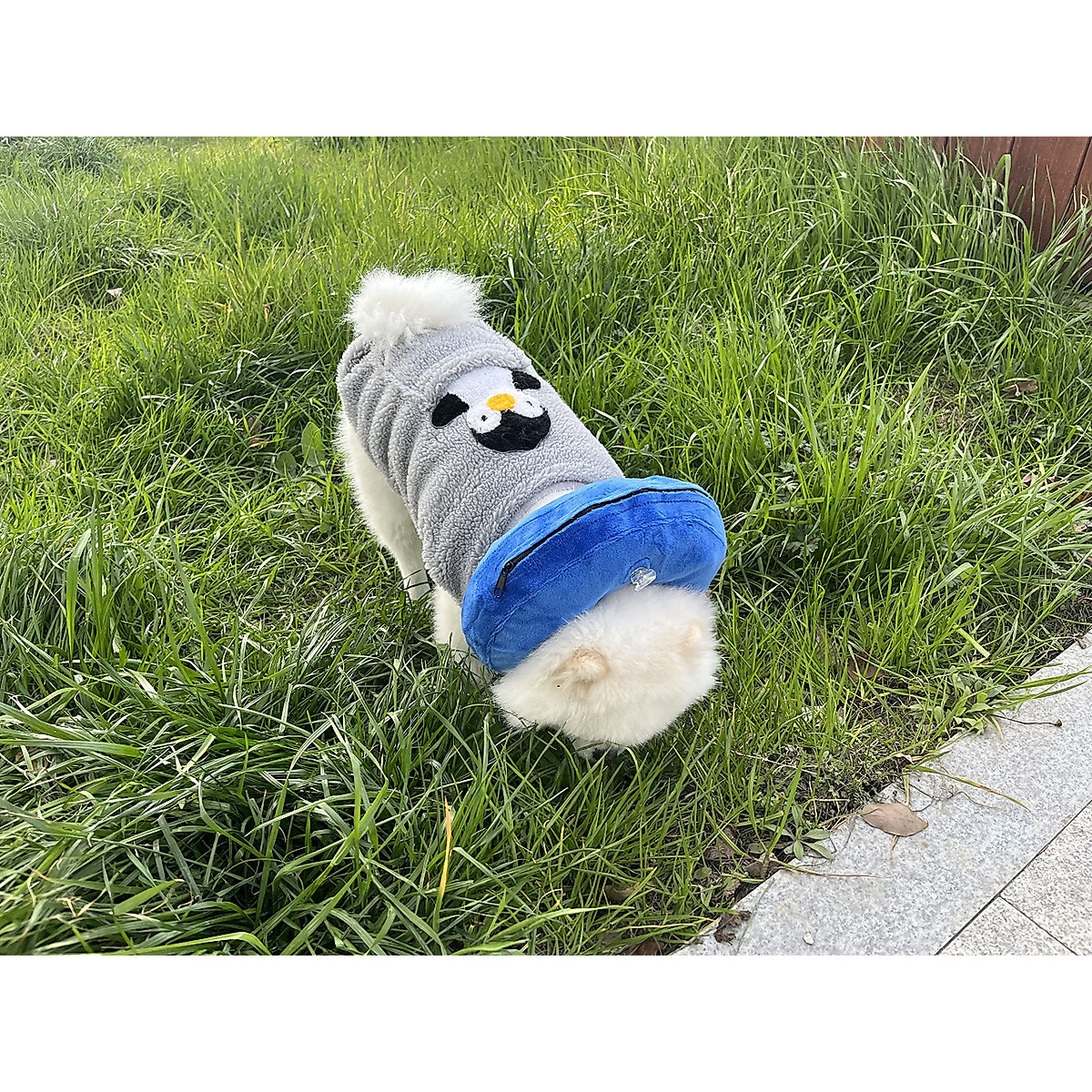 Comfortable & Adjustable Inflatable Pet Collar - Alternative to Cone Shaped Collars - Great for Post-Surgery or Injury Recovery - Durable & Non-Toxic Material -Snug Fit (Large 12-18 in.)