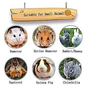 PINVNBY 15 Pcs Rabbits Lava Blocks Bunny Teeth Grinding Stone Small Animal Mineral Calcium Stone Chews Toy for Hamsters,Chinchillas and Parrot