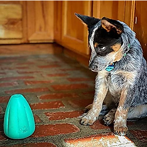 Chew King Premium Treat Dog Toy, Medium, Extremely Durable Natural Rubber Toy, Pack of 2