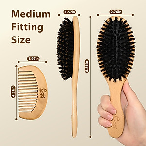 BLACK EGG Boar Bristle Hair Brush for Women Men Kid, Soft Natural Bristles Brush for Thin and Fine Hair, Restore Shine and Texture, Set includes Bamboo comb and 3 hair ties