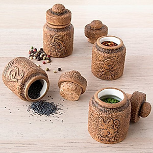 Seven20 Harry Potter Ceramic Spice Jars with Hogwarts Houses, set of 4 - Store Potion Ingredients, Herbs, Spices and More - with Gryffindor, Hufflepuff, Slytherin and Ravenclaw Symbols - 1.45 oz each