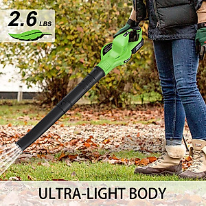 Leaf Blower Cordless, 20V Electric Blowers with 4000mAh Battery and Charger, 2 Speed Modes Lightweight Battery Powered Leaf Blowers for Lawn Care, Patio, Blowing Leaves,Grass