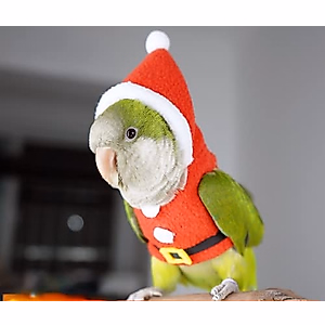 Bird Clothes Birds Flight Suit, Christmas Hoodie for Parrots Cockatiel Sun Conure Christmas Party Cosplay Photo Prop Bird Shirt Small Animals Apparel (Without Diaper,Green Quaker)