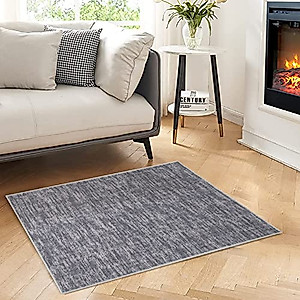 RUGSREAL Small Contemporary Area Rug Modern Solid Indoor Throw Carpe Machine Washable Non-Slip Low-Pile Area Rug for Living Room Bedroom Laundry, 2' x 3' Grey
