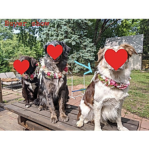 LLinfflr Women Floral Crown Boho Flower Headband Hair Wreath Floral Halo Headpiece with Ribbon Wedding Party Photos Rosy