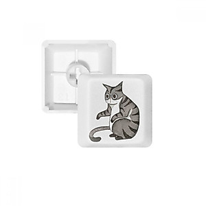 DIYthinker Miaoji Painting Dragon-Li Watercolor Cat Keycap Mechanical Keyboard PBT Gaming Upgrade Kit