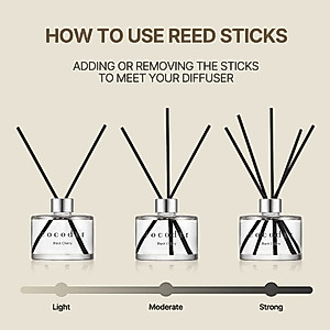 COCODOR Signature Reed Diffuser/Floral Bouquet / 6.7oz(200ml) / 2 Pack/Reed Diffuser, Reed Diffuser Set, Oil Diffuser & Reed Diffuser Sticks, Home Decor & Office Decor, Fragrance and Gifts