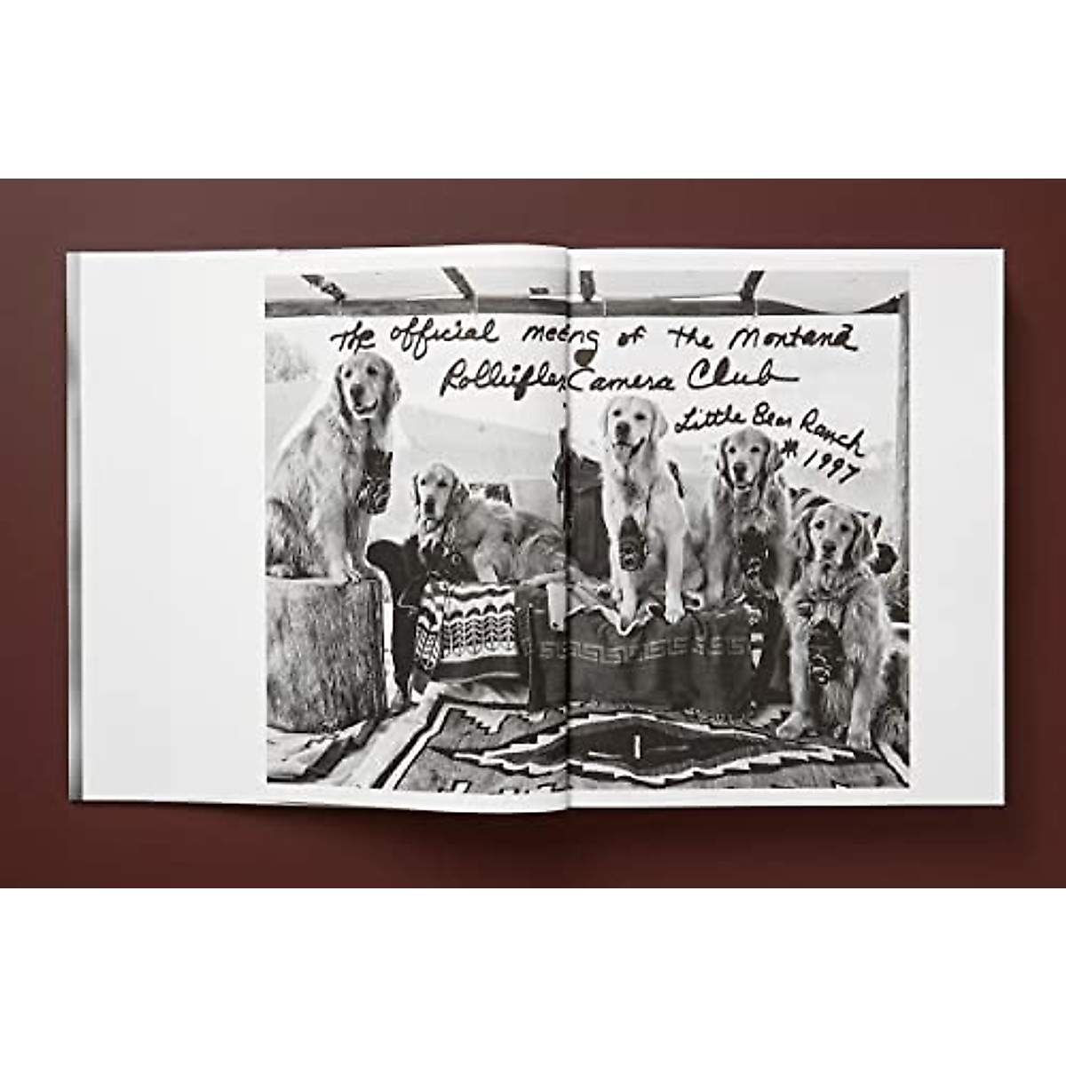 The Golden Retriever Photographic Society