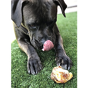 Pawstruck Natural Knee Cap Dog Bones Pet Food, 10-Pack Dog Treats for Aggressive Chewers, Low Fat and High Protein Dental Chews, Beef Flavor, Long Lasting and Calming Rawhide Alternatives, 1.34 Kg