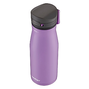 Contigo Jackson Chill 2.0 Vacuum-Insulated Stainless Steel Water Bottle