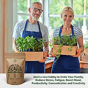 30 Medicinal & Tea Herb Seeds Variety Pack for Planting Indoor & Outdoors. 7000+ Non-GMO Heirloom Herbal Garden Seeds: Anise, Bergamot, Borage, Cilantro, Chamomile, Dandelion, Rosemary Seeds & More