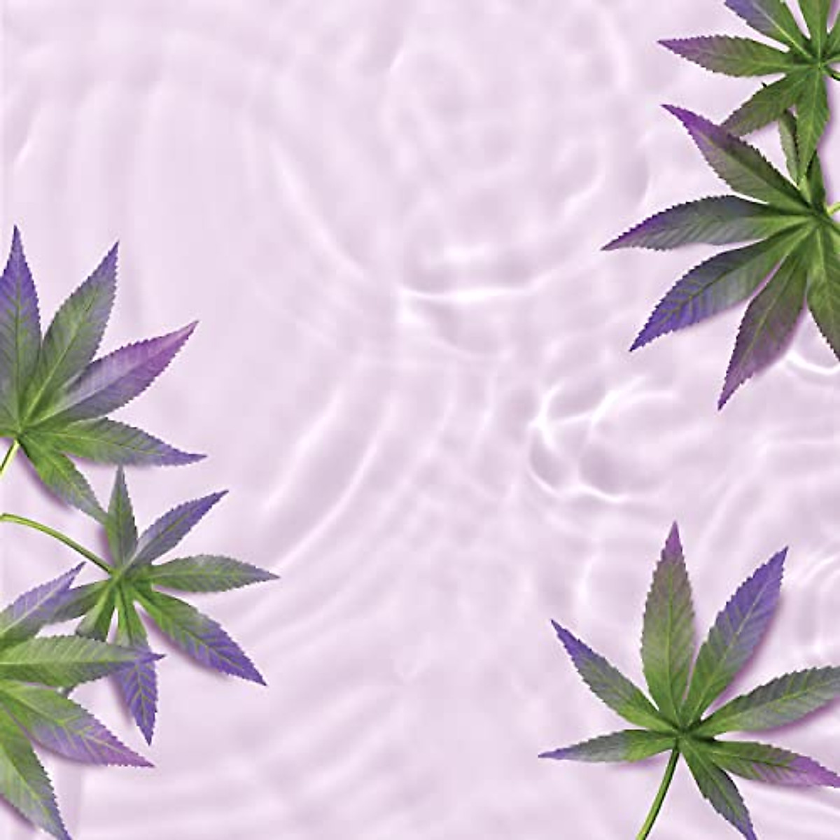 Love Beauty and Planet 100% Biodegradable Shampoo Soothe & Nourish Dry Scalp Hemp Seed Oil & Nana Leaf Sulfate-free, Silicone-free, Cruelty-free, Vegan Shampoo 13.5 oz