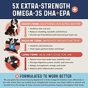 Bernie’s OMG!!! Omegas 5X Extra Strength Omega-3s DHA+EPA, Chews with Fish Oil for Dogs, Ultimate Skin & Coat, Works as Dog Allergy Chews, Dog Calming Chews, Joint Supplement. (Salmon)
