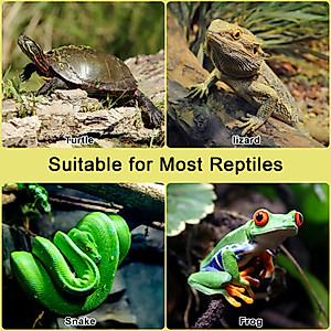 ZJNBMTFY Reptile Heat Lamp, UVAB Reptile Light with Clamp,360° Rotatable Turtle Heating Lamp, Turtle Light for Reptile Bearded Dragon Reptiles Turtle Lizard Snake Heat Lamp, 2 Basking Bulbs Included…