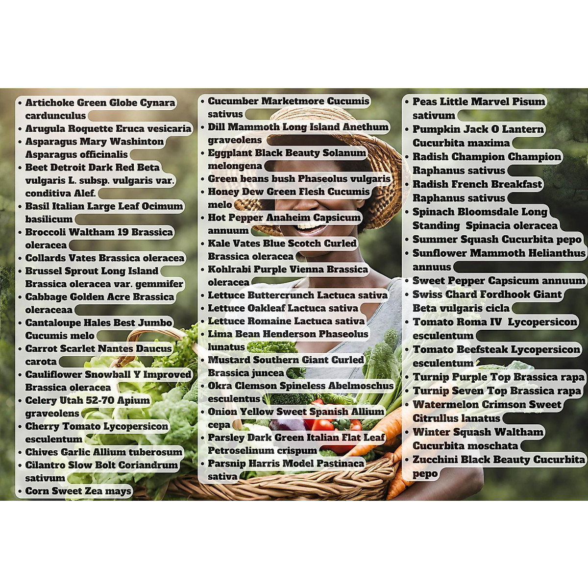 50 Vegetable & Herb Seeds for Planting Outdoor & Indoor Conventional Seed Gardens. This Survival Seed Kit Includes 12,500 Seeds, A Planting Guide & A Mylar Package. Heirloom Non-GMO Seed By B&KM Farms